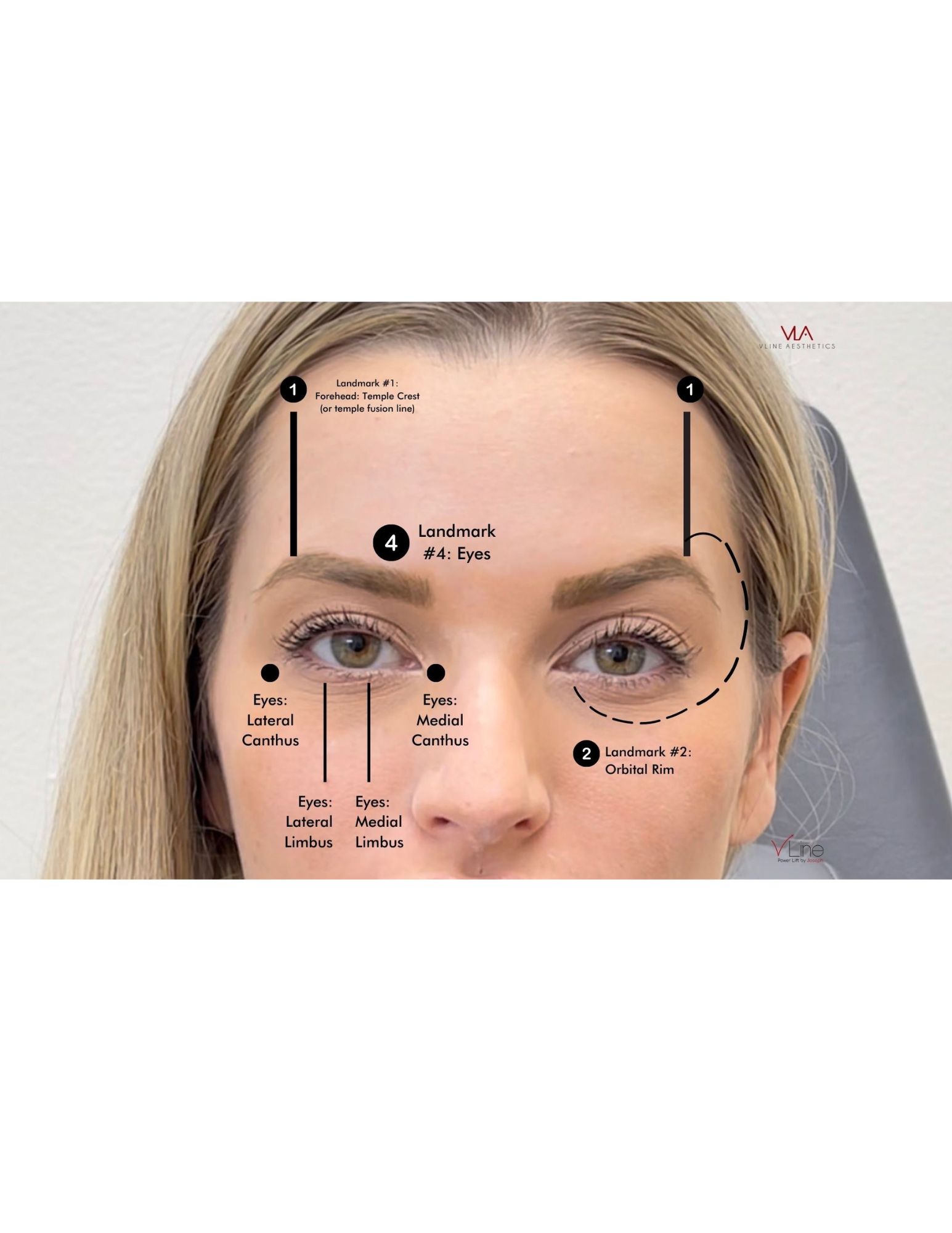 Anatomy Book 1 - V LINE AESTHETICS